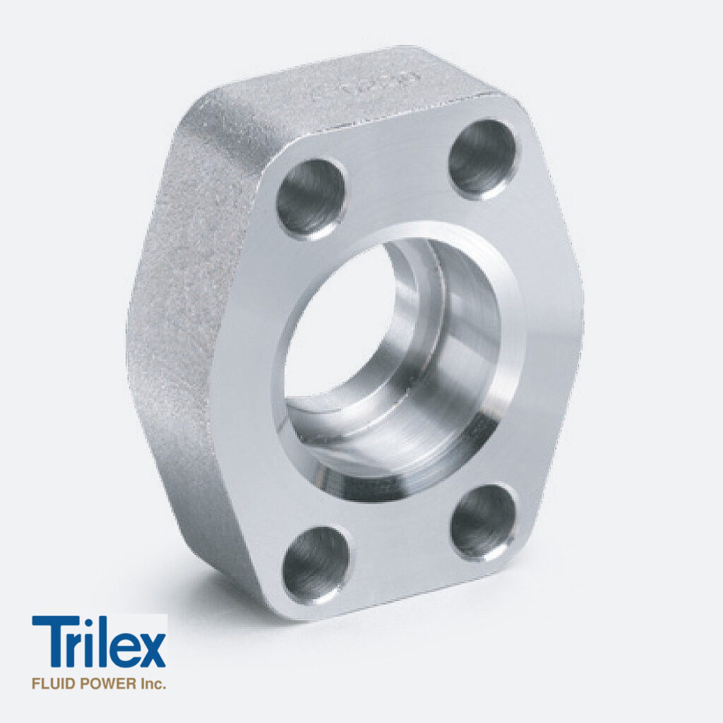 Flat Socket Weld Pipe Flanges Carbon Steel - Carbon Steel Flanges ...